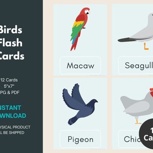 Bird-themed Flashcards for Kids - 12 Printable Cards for Ages 4-6 ...