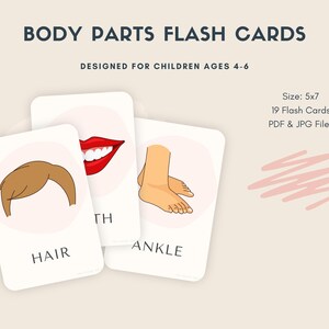 Body Parts Flashcards - 19 Printable Cards for Early Learning - Etsy