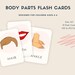 Body Parts Flashcards - 19 Printable Cards for Early Learning - Etsy