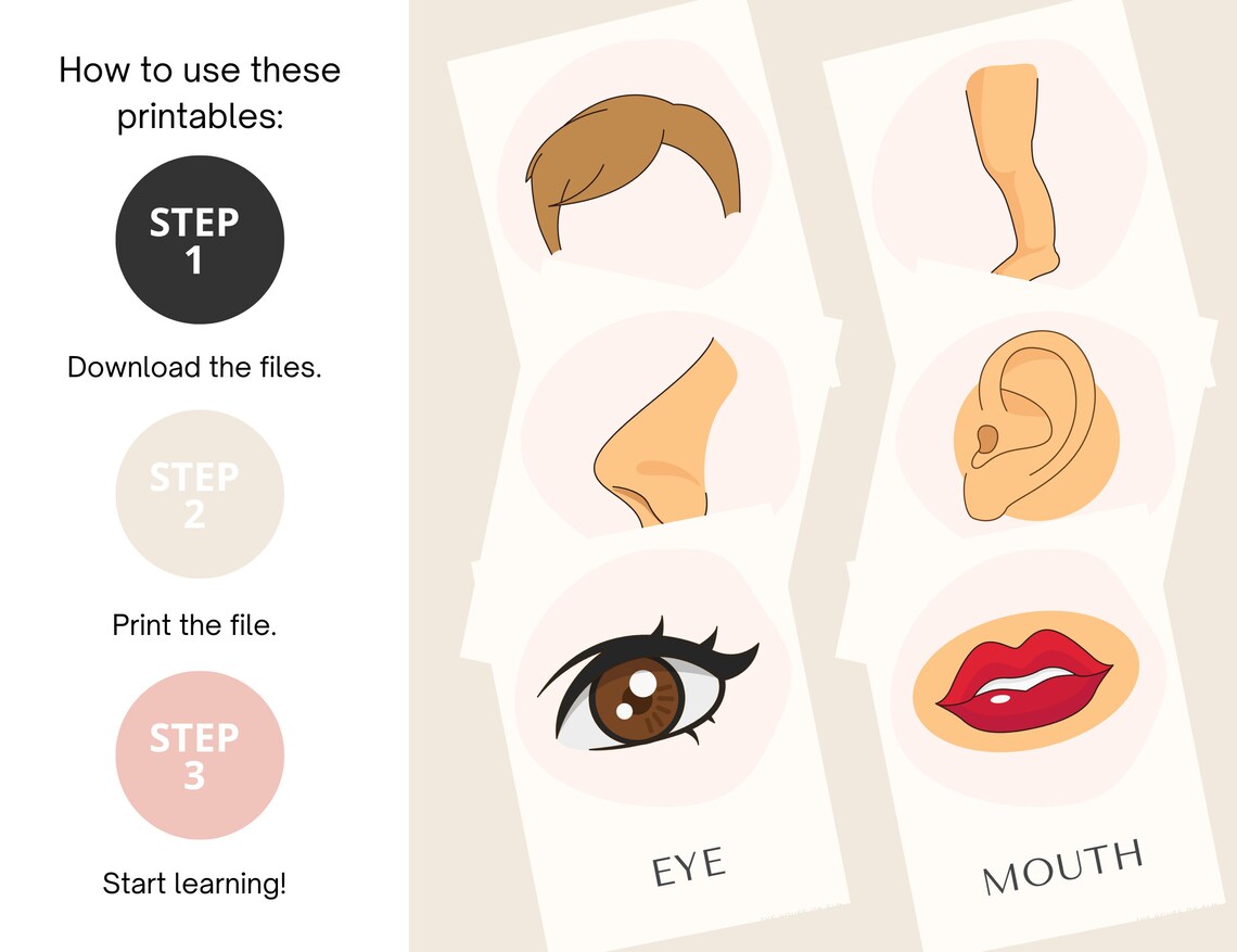 Body Parts Flashcards - 19 Printable Cards for Early Learning - Etsy