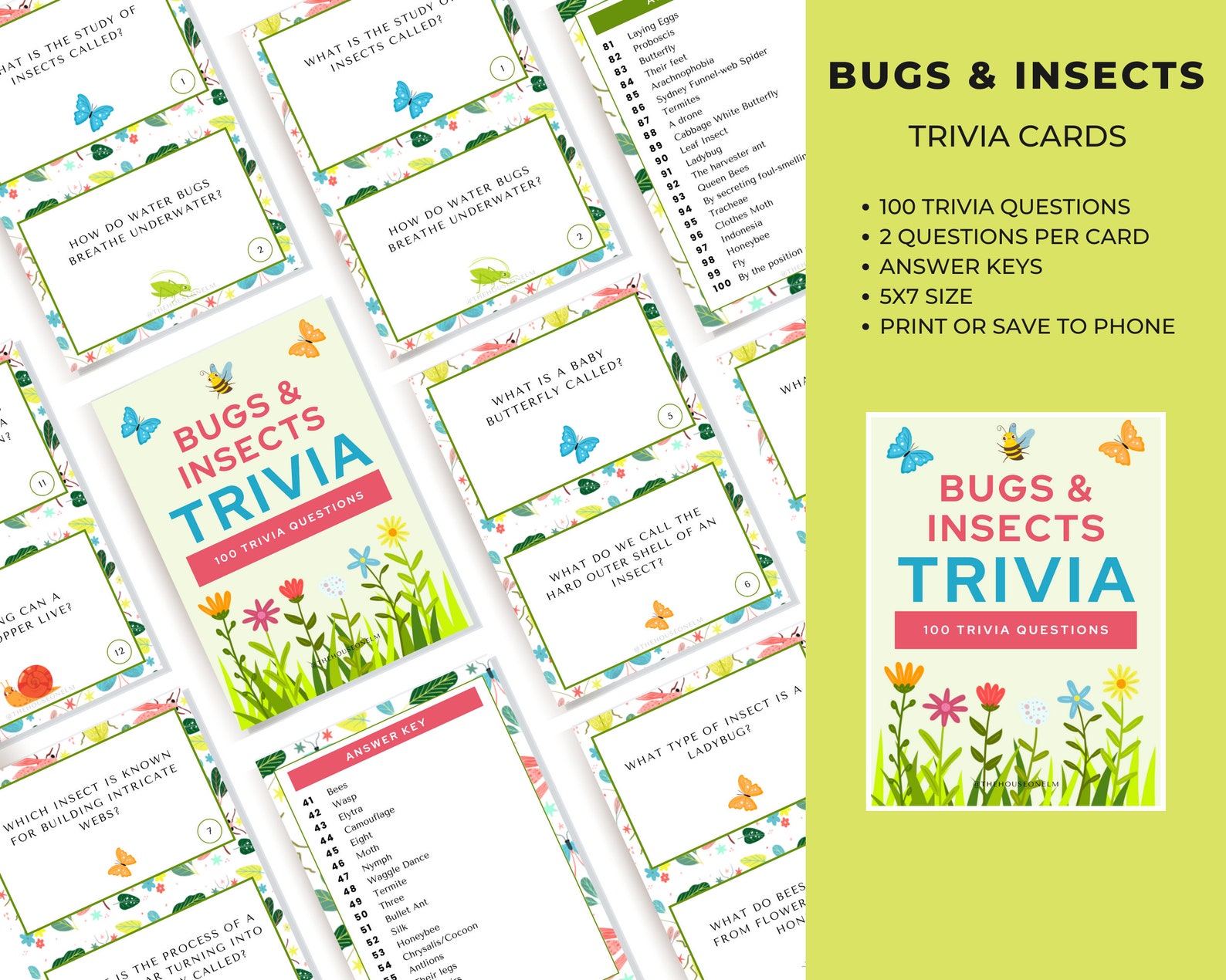 Bugs and Insects Trivia Cards | Homeschool Activity, Learning Games ...