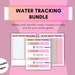 Printable Water Tracker, Sunrise H2O Log, 30 Day Challenge (PDF) - Etsy