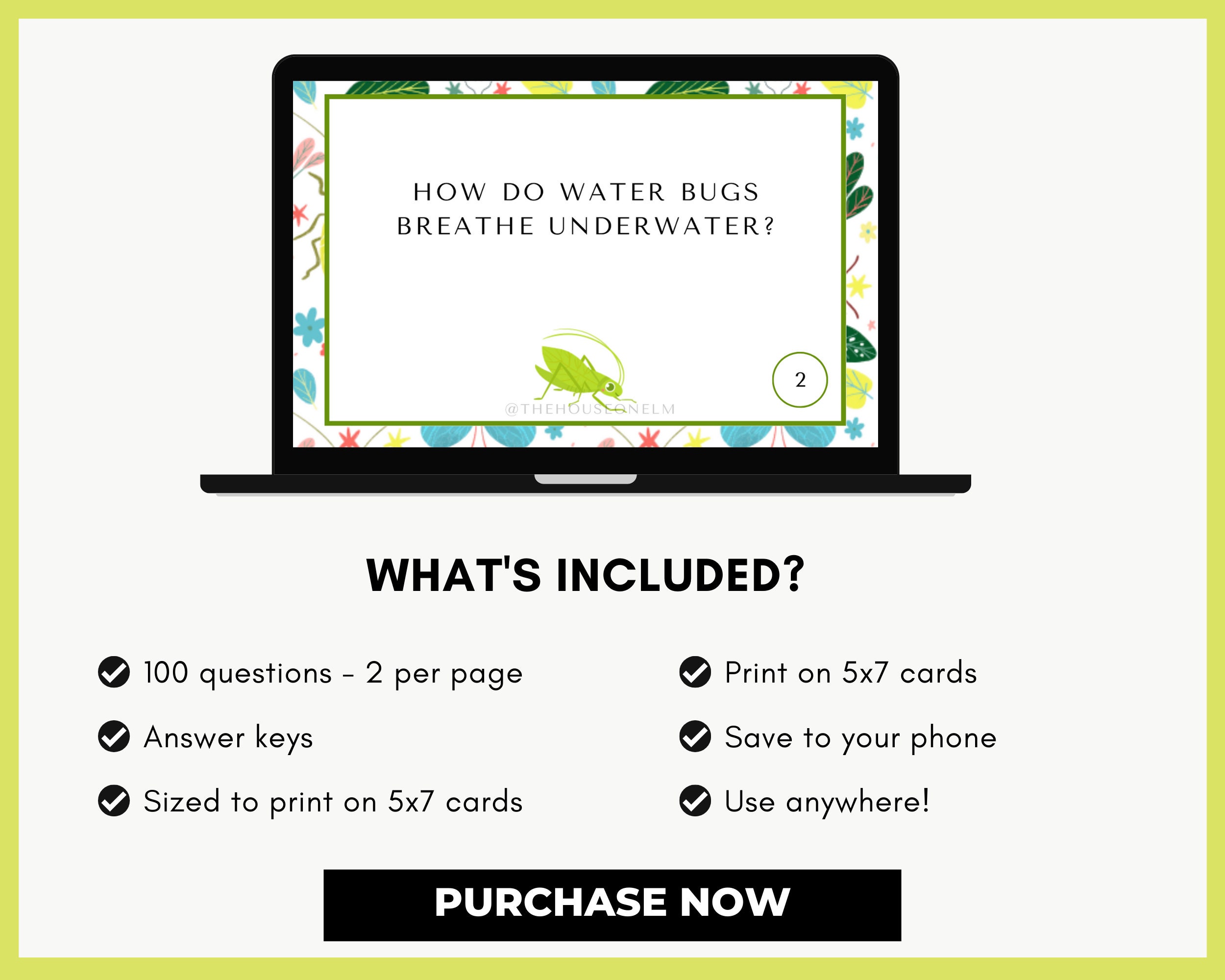 Bugs and Insects Trivia Cards | Homeschool Activity, Learning Games ...