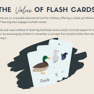 Bird-themed Flashcards for Kids - 12 Printable Cards for Ages 4-6 ...