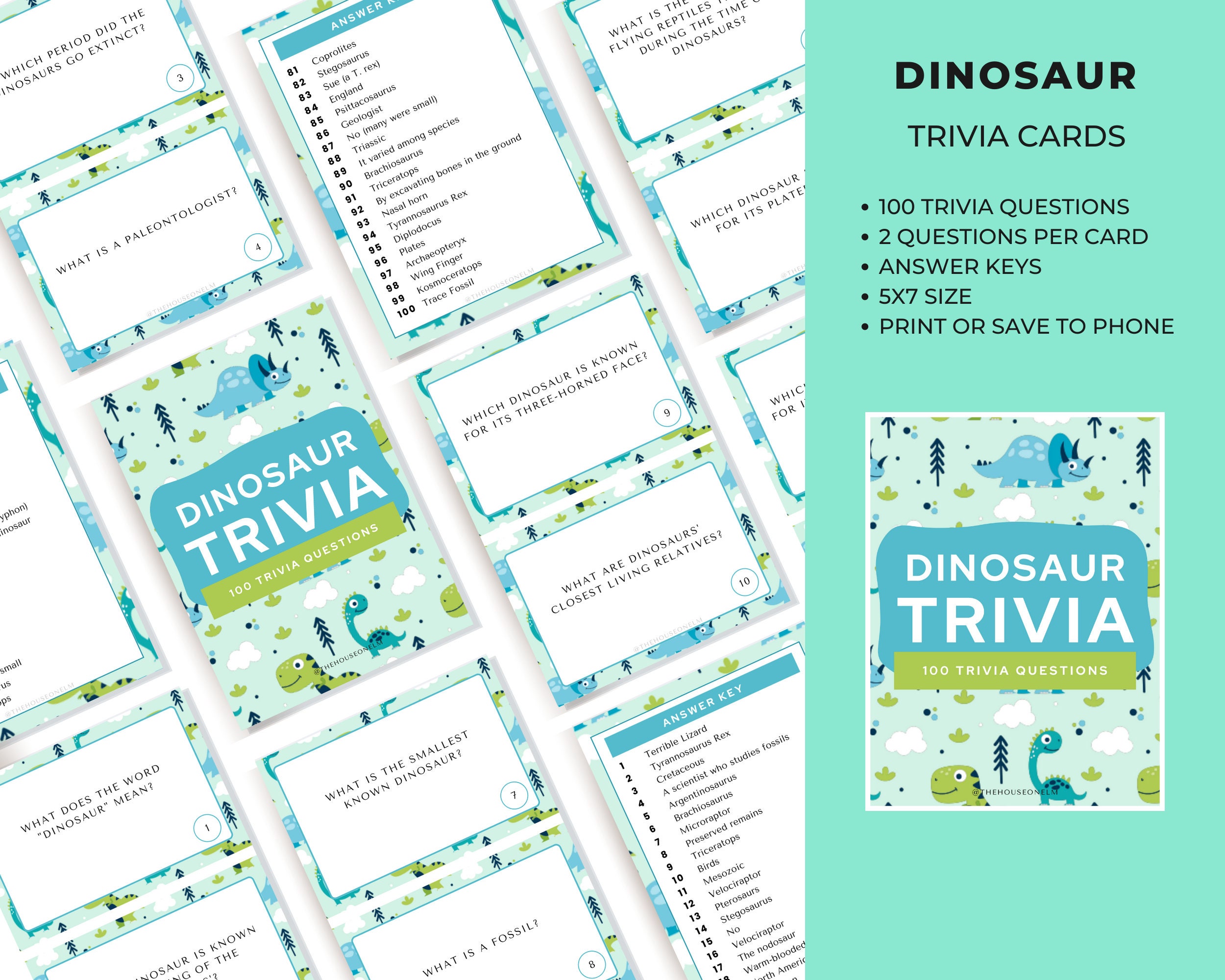 Dinosaur Trivia Cards Homeschool Activity, Learning Games, Teaching Aid ...
