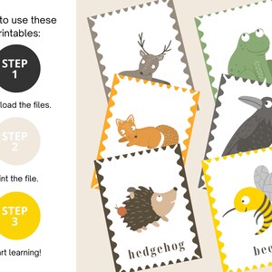 Forest Friends Adventure - 20 Printable 5x7 Flashcards for Kids Ages 4 ...