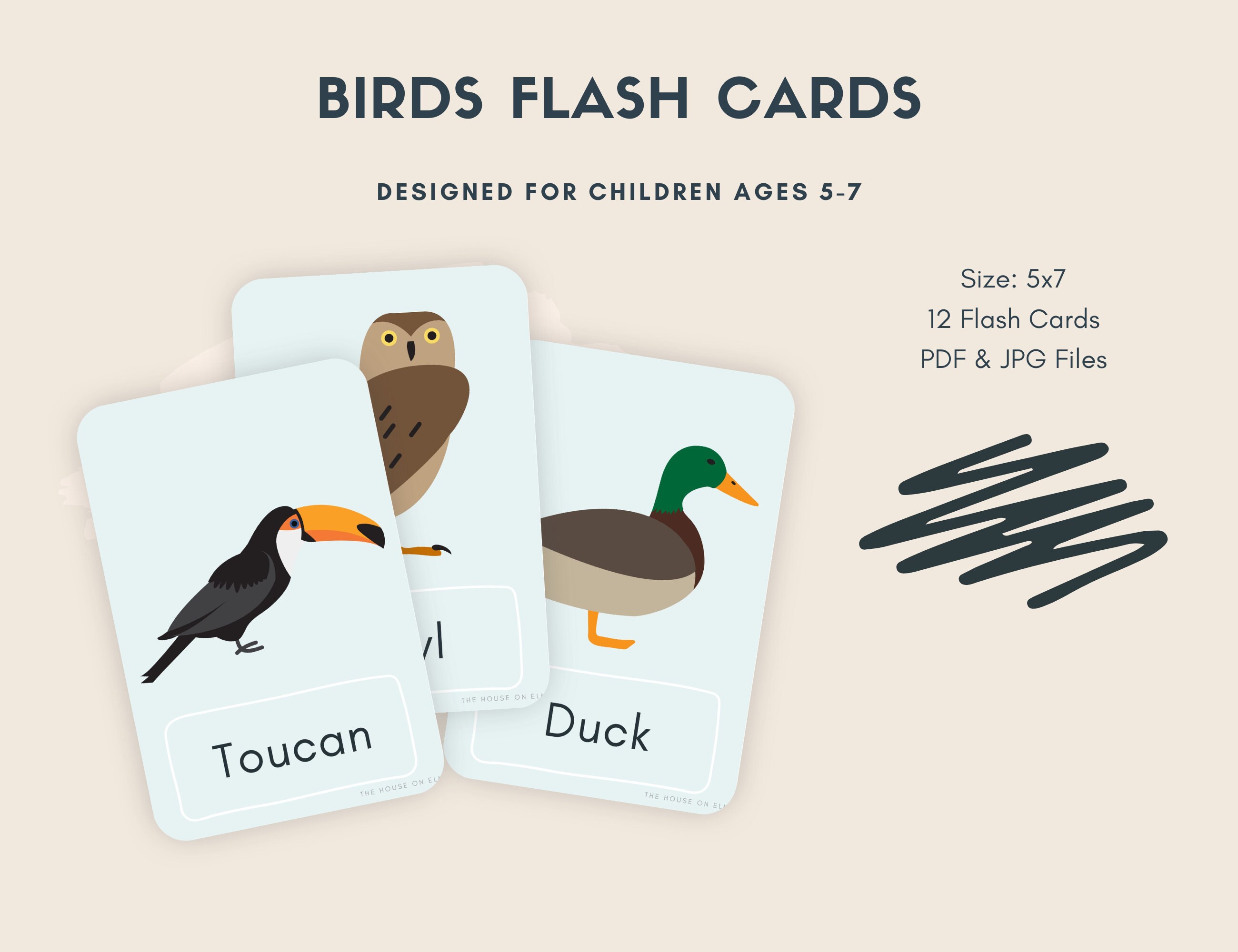 Bird-themed Flashcards for Kids - 12 Printable Cards for Ages 4-6 ...