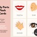 Body Parts Flashcards - 19 Printable Cards for Early Learning - Etsy
