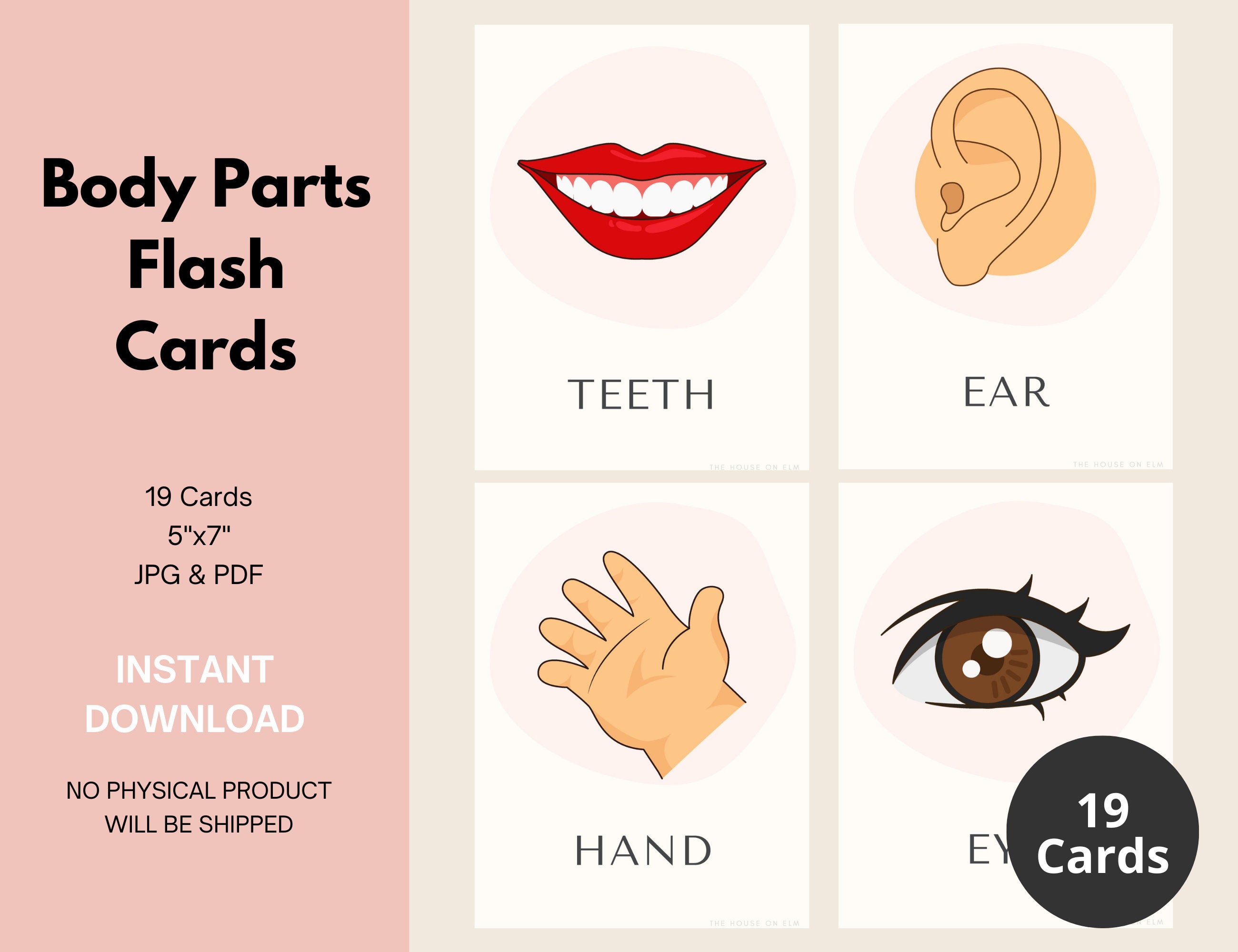 Body Parts Flashcards - 19 Printable Cards for Early Learning - Etsy