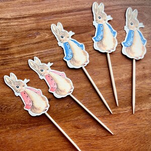 Classic Beatrix Potter Peter Rabbit Flopsy Bunny Cupcake Toppers 12 ...