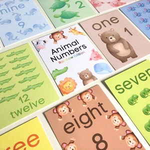 ANIMAL NUMBERS Baby Flash Cards Rainbow Edition 20 Colorful Flash Cards ...