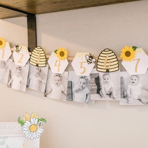First Birthday Monthly Photo Banner Sweet as Can Bee Theme | Etsy