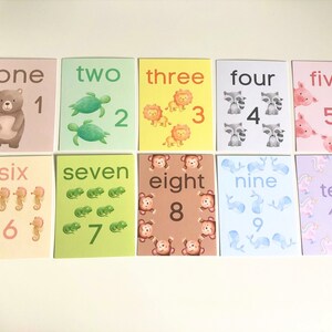 ANIMAL NUMBERS Baby Flash Cards | Rainbow Edition | 20 Colorful Flash ...