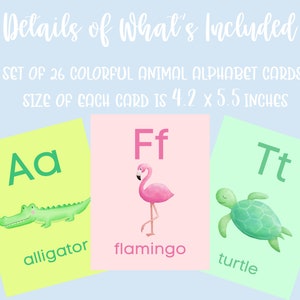 ANIMAL ALPHABET Baby Flash Cards | Rainbow Edition | 26 Colorful Flash ...