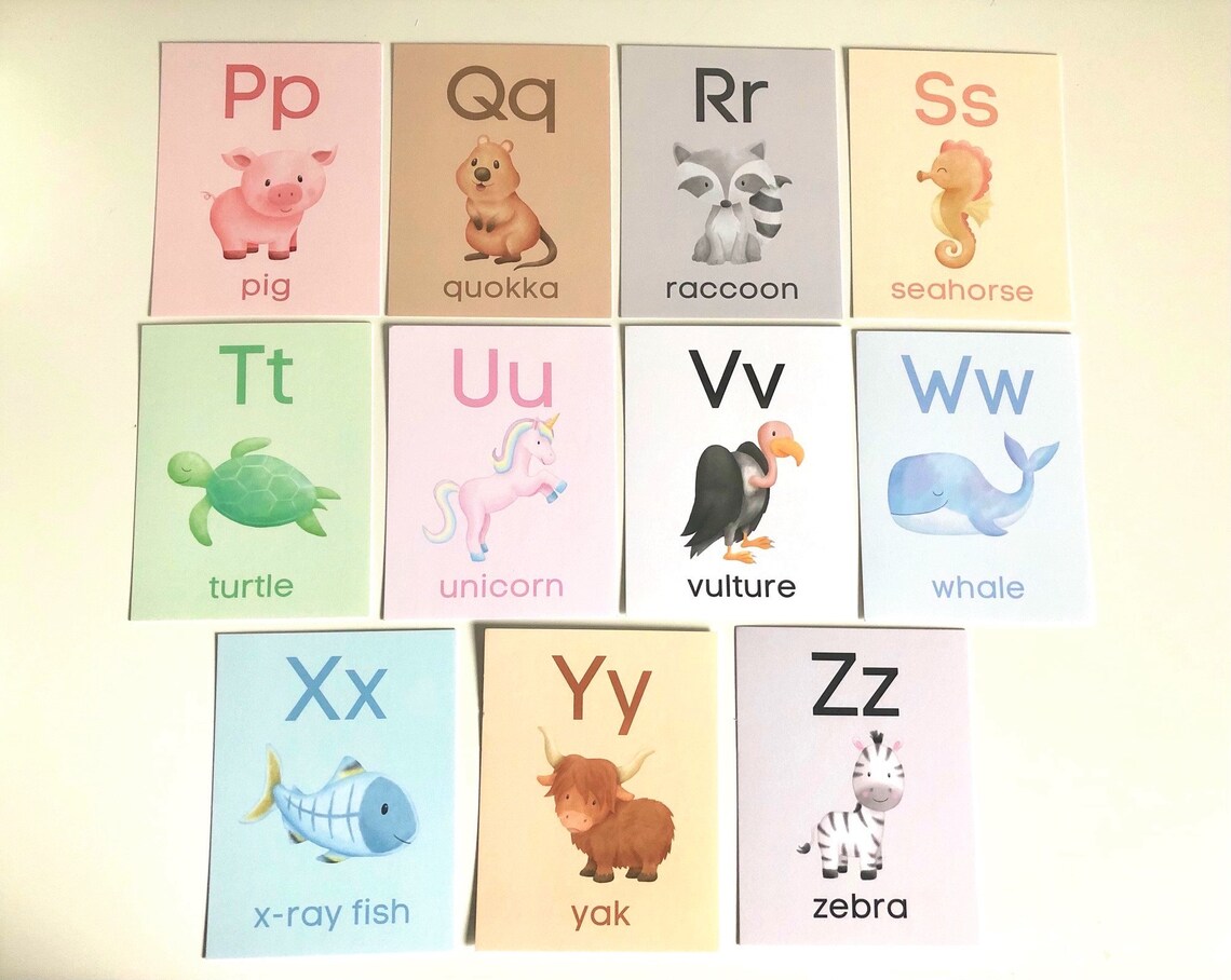 ANIMAL ALPHABET Baby Flash Cards Rainbow Edition 26 - Etsy