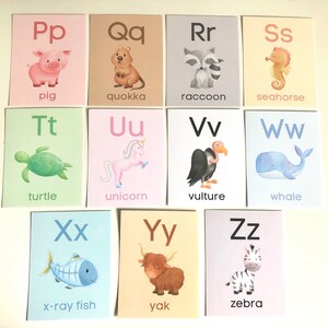 ANIMAL ALPHABET Baby Flash Cards | Rainbow Edition | 26 Colorful Flash ...