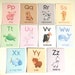 ANIMAL ALPHABET Baby Flash Cards | Rainbow Edition | 26 Colorful Flash ...