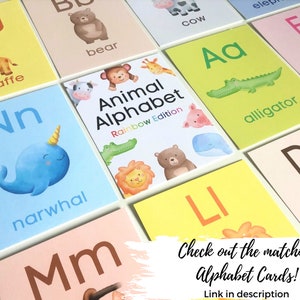 ANIMAL NUMBERS Baby Flash Cards | Rainbow Edition | 20 Colorful Flash ...