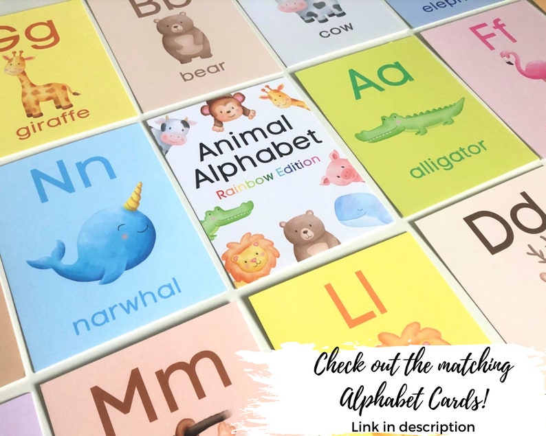 ANIMAL NUMBERS Baby Flash Cards Rainbow Edition 20 - Etsy