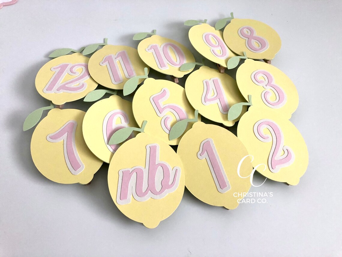 Pink Lemonade First Birthday Party Decorations | Cake Topper, High ...