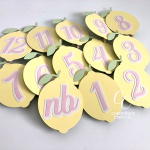 Pink Lemonade First Birthday Party Decorations | Cake Topper, High ...