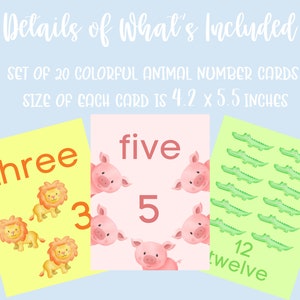 ANIMAL NUMBERS Baby Flash Cards | Rainbow Edition | 20 Colorful Flash ...
