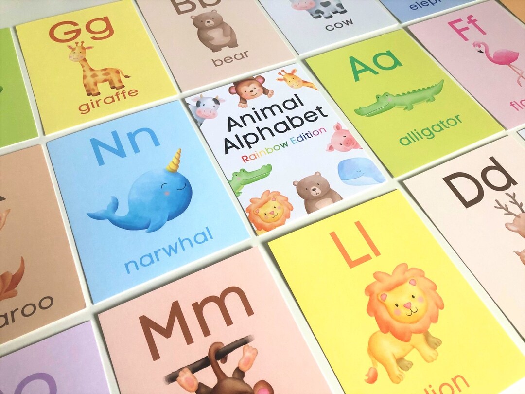 ANIMAL ALPHABET Baby Flash Cards | Rainbow Edition | 26 Colorful Flash ...