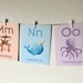 ANIMAL ALPHABET Baby Flash Cards | Rainbow Edition | 26 Colorful Flash ...