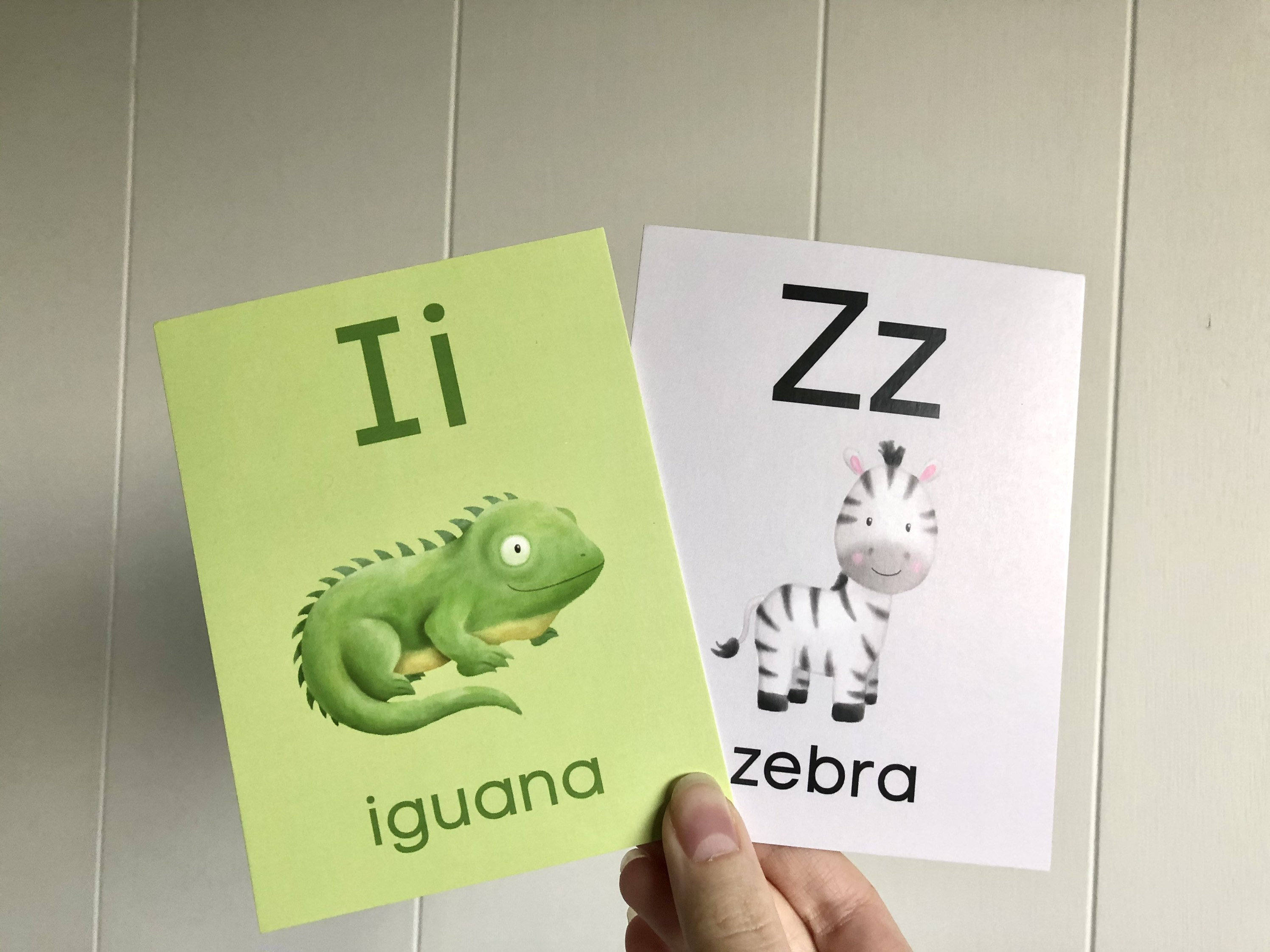 ANIMAL ALPHABET Baby Flash Cards Rainbow Edition 26 - Etsy