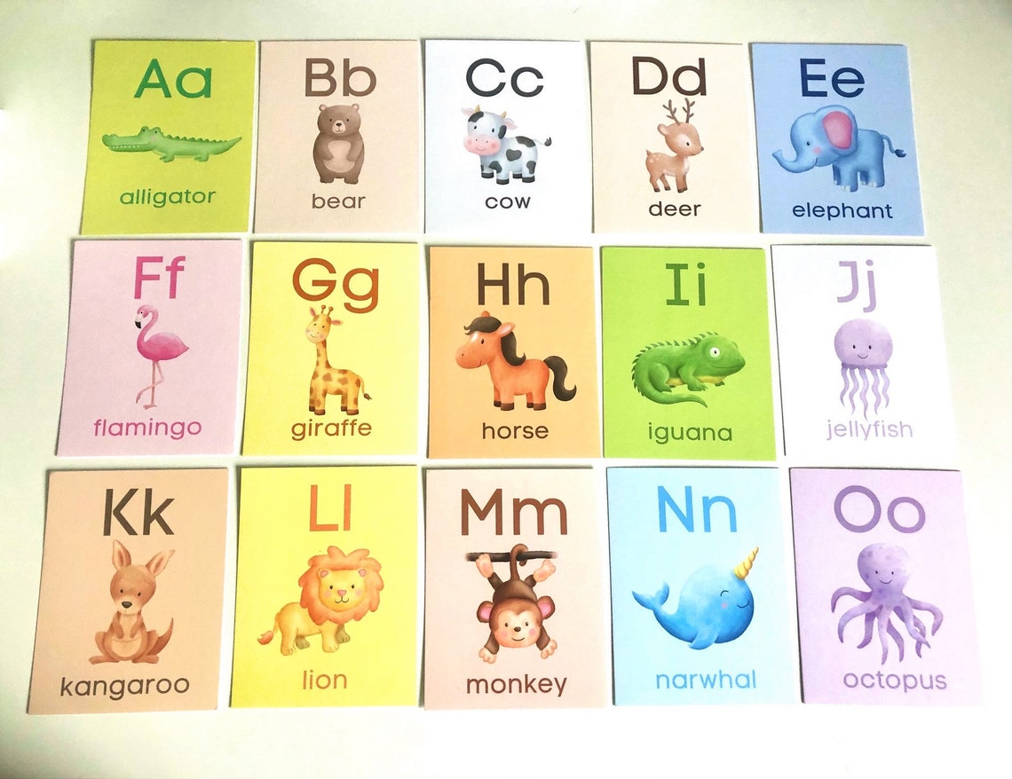 ANIMAL ALPHABET Baby Flash Cards Rainbow Edition 26 - Etsy