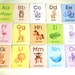 ANIMAL ALPHABET Baby Flash Cards | Rainbow Edition | 26 Colorful Flash ...