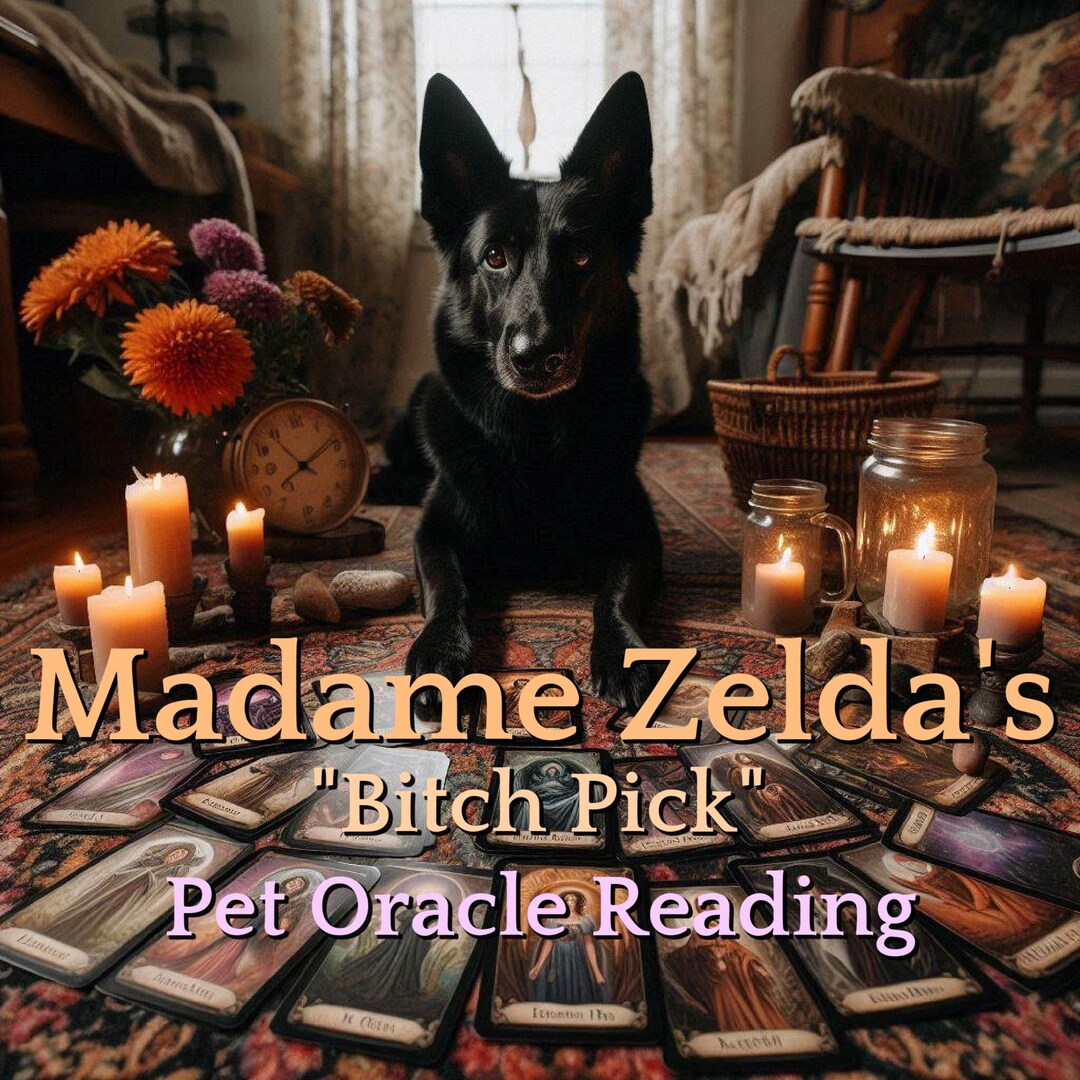 Pet Oracle Reading - Madame Zelda's "bitch Pick" One Question Pet ...