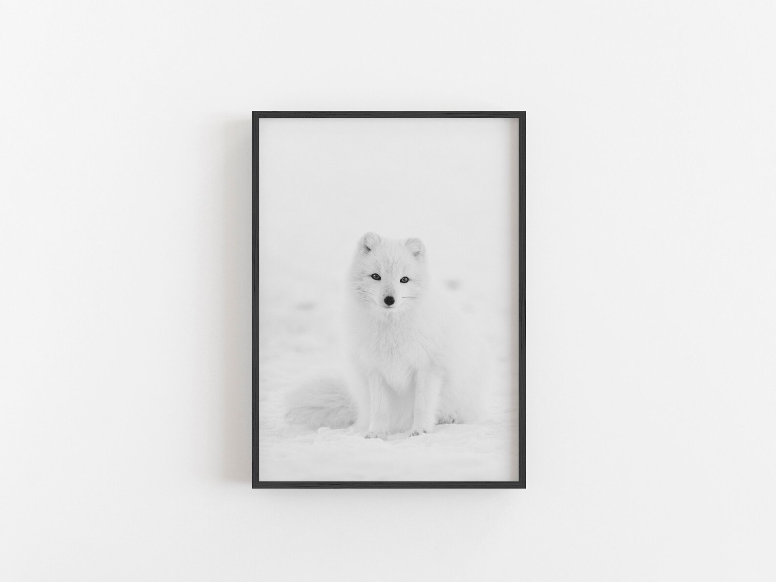 Fox Print White Fox Art Arctic Fox Animal Print White Animal - Etsy