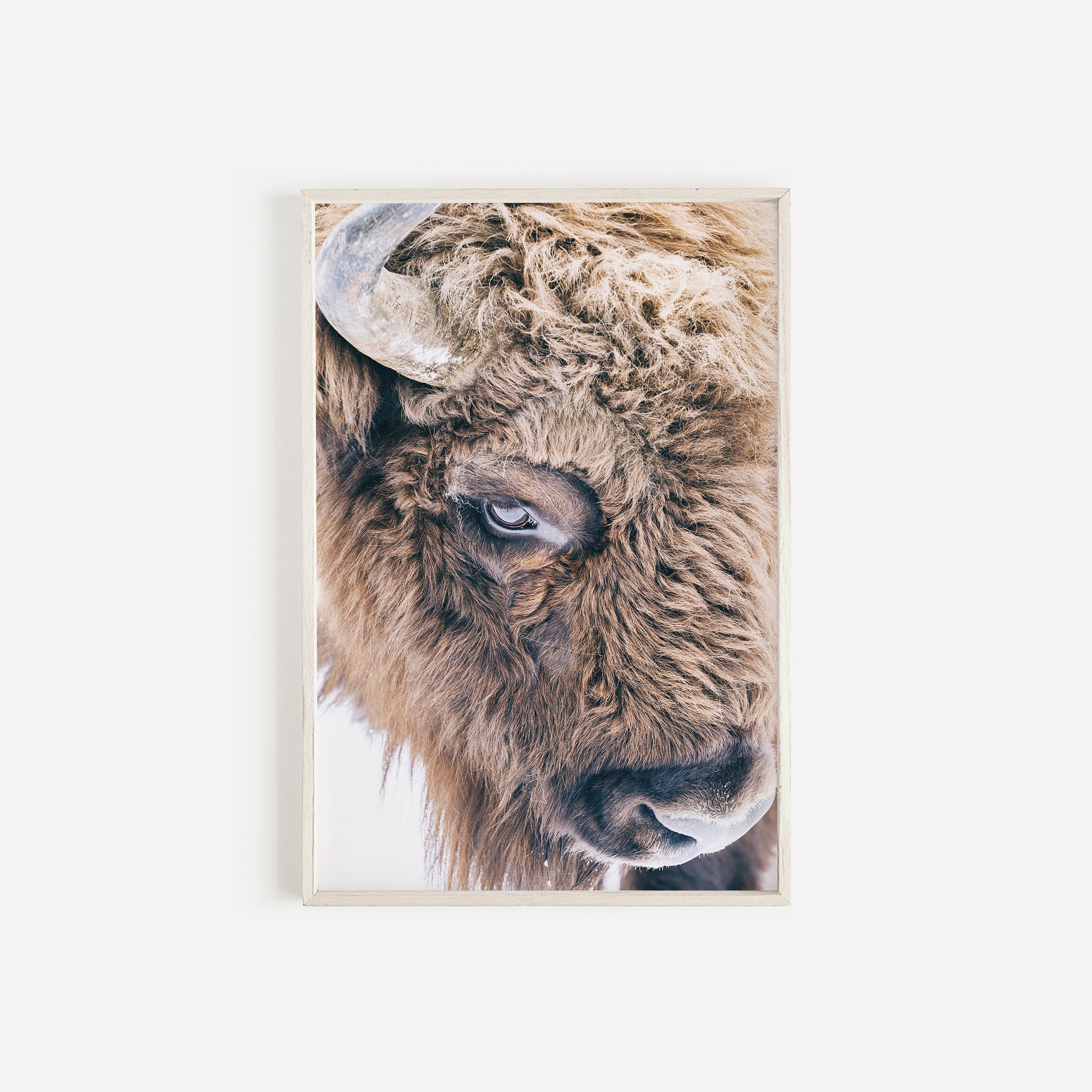 Set of 3 Prints Western Bison Prints, Buffalo Art Print Set of 3, Set ...