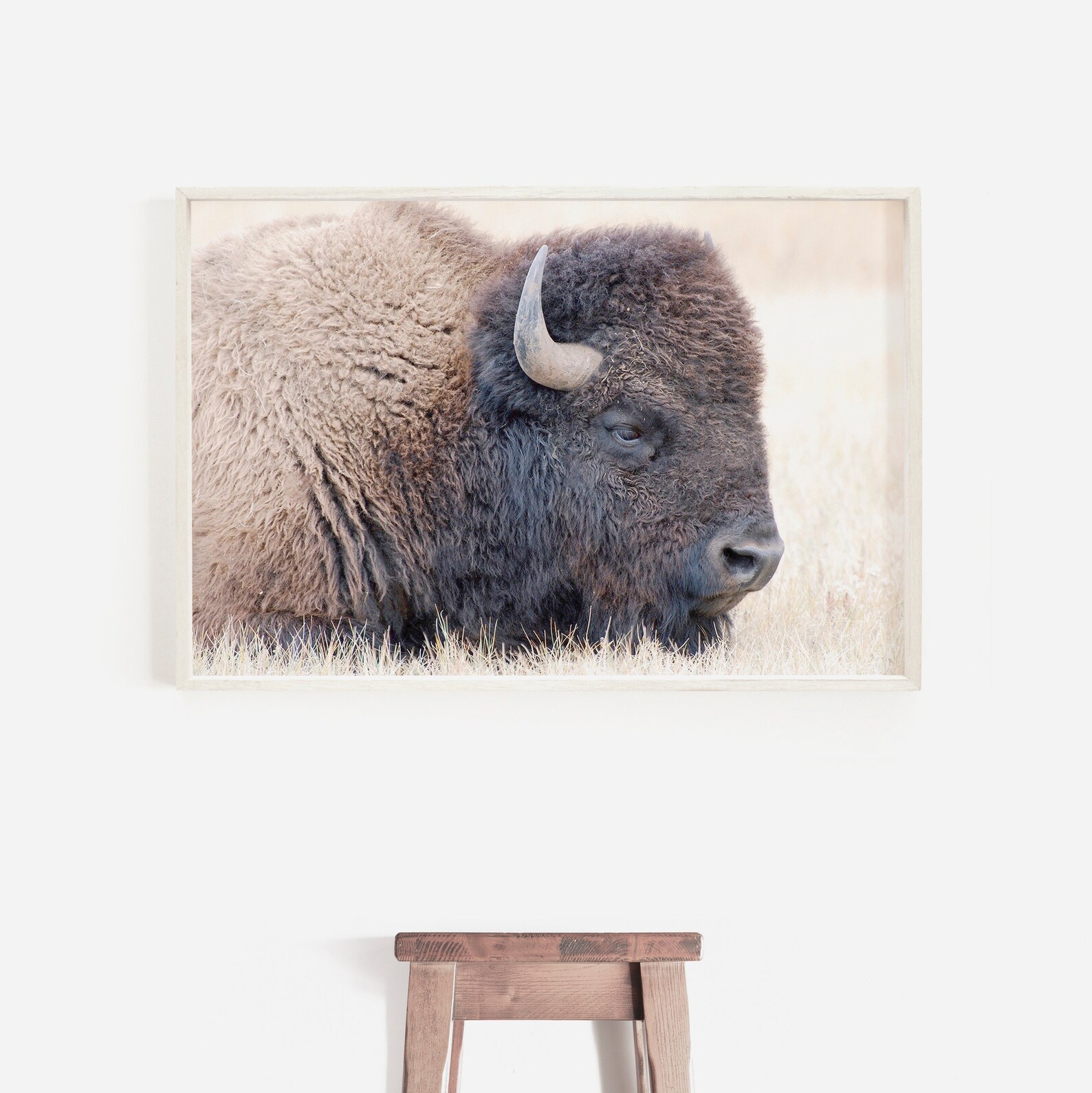 Bison Print Bison Art Print Buffalo Wall Art Bison - Etsy