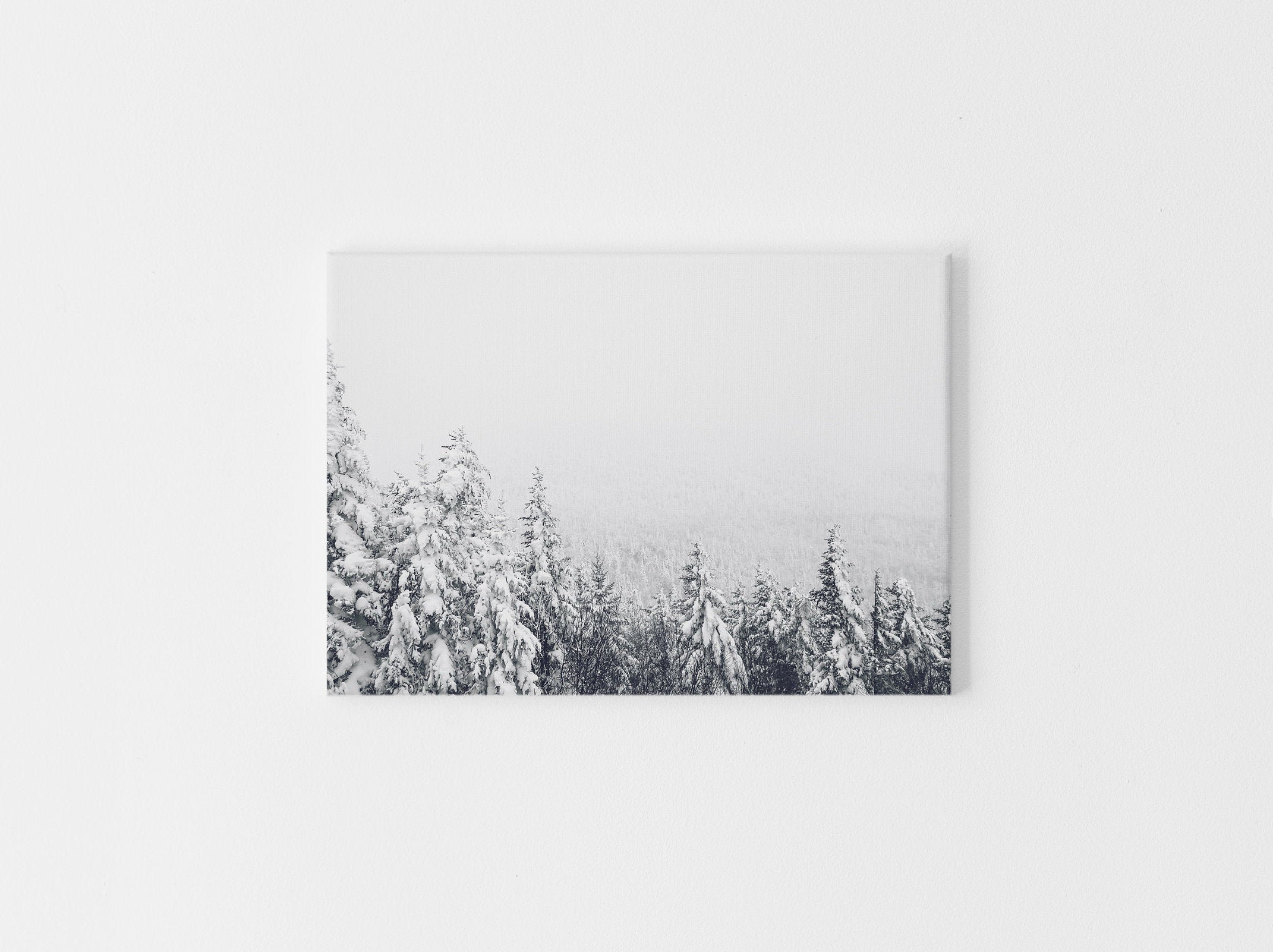 Horizontal Wall Art Winter Trees Print Landscape Photography Snowy ...