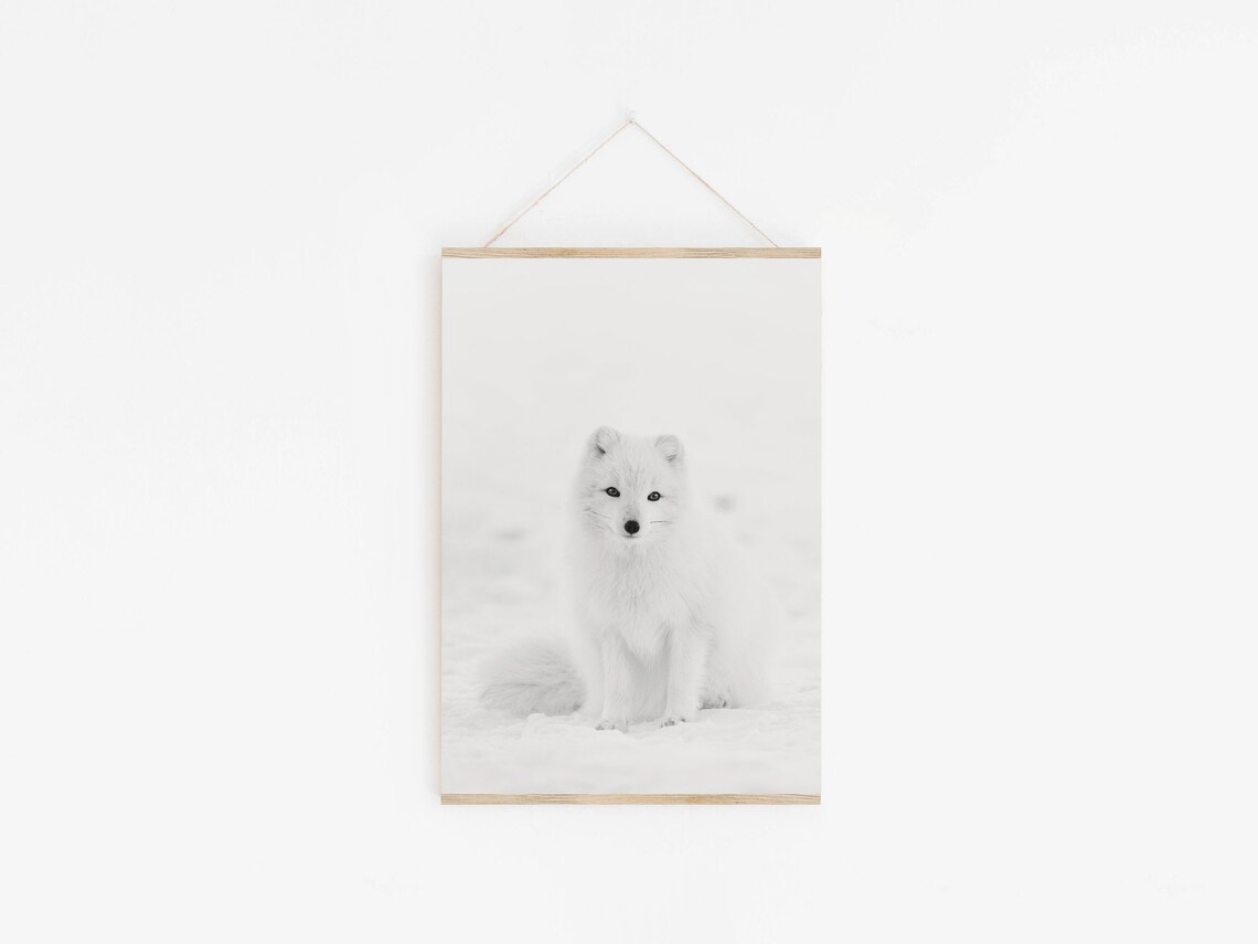 Fox Print White Fox Art Arctic Fox Animal Print White Animal Print ...