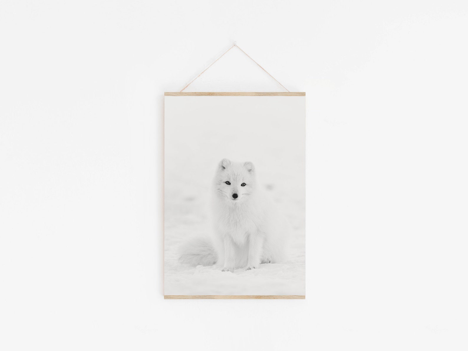 Fox Print White Fox Art Arctic Fox Animal Print White Animal - Etsy