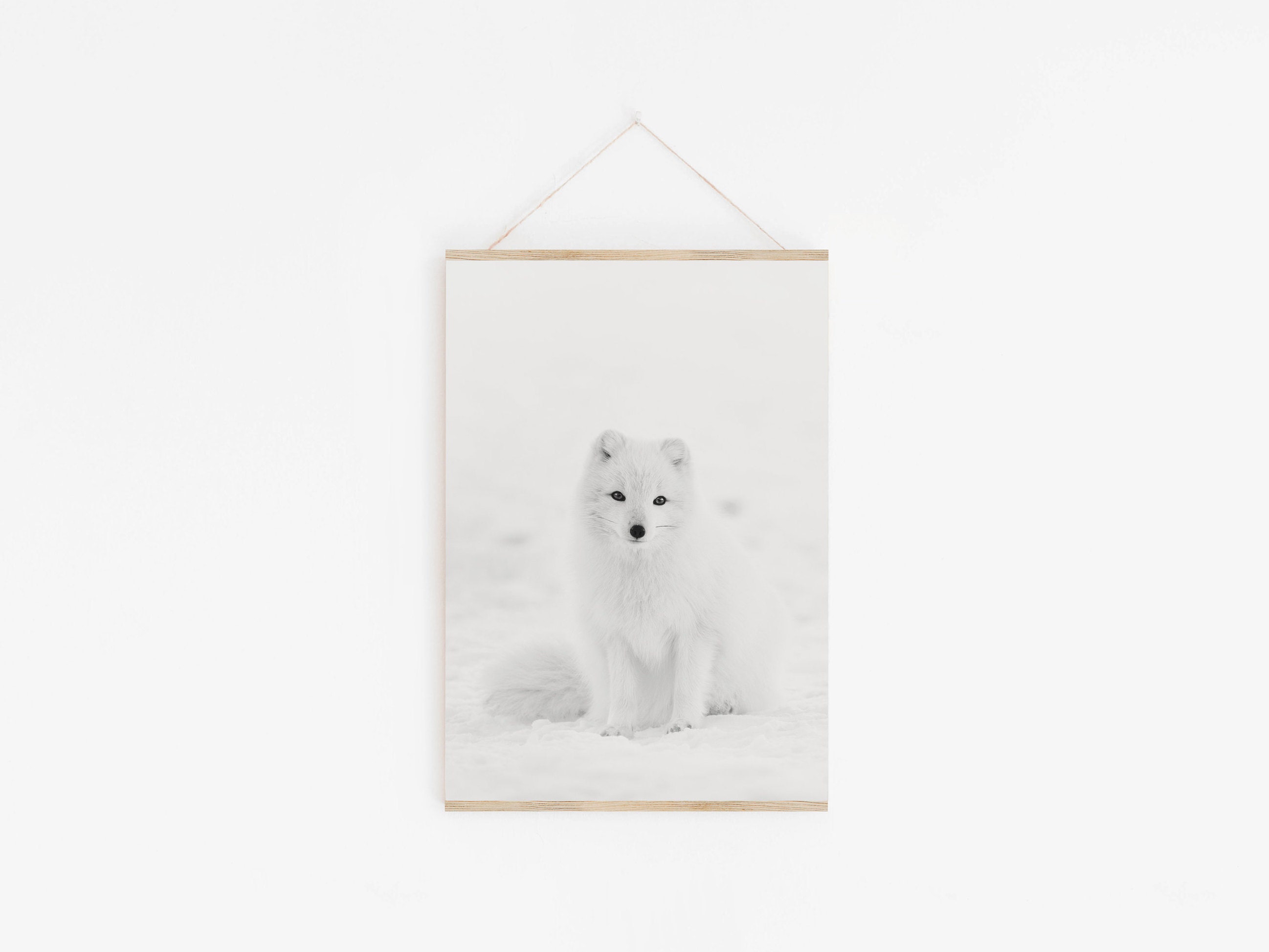 Fox Print White Fox Art Arctic Fox Animal Print White Animal Print ...