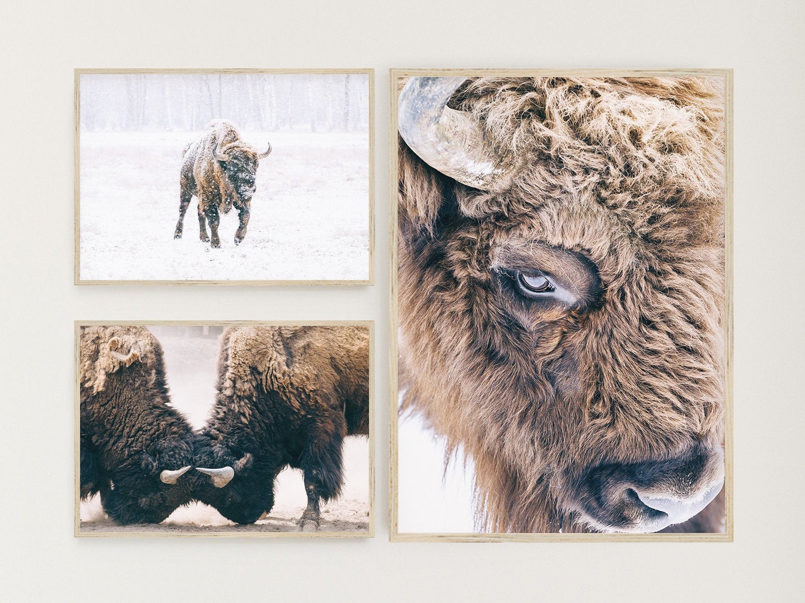 Set of 3 Prints Western Bison Prints Buffalo Art Print Set of - Etsy