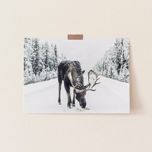 Moose in Snow Print, Christmas Decor, Farmhouse Print, Winter Wall Art ...