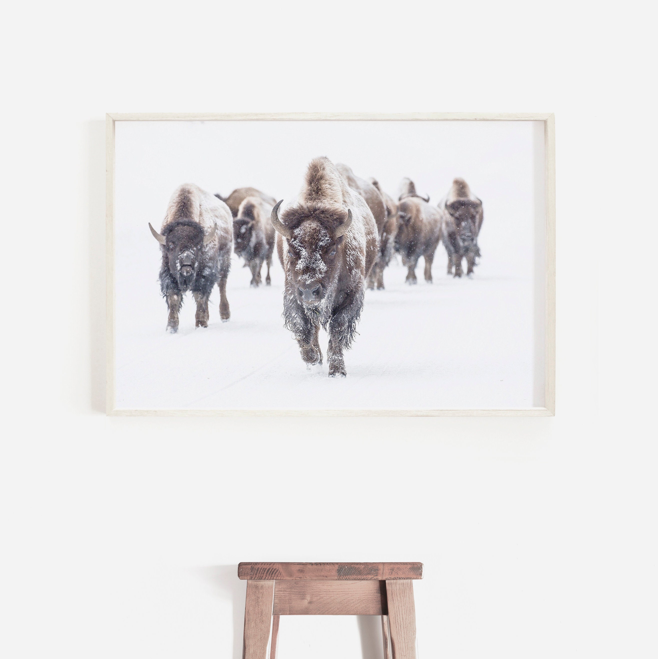 Bison Wall Art Prints American Bison Print Printable | Etsy