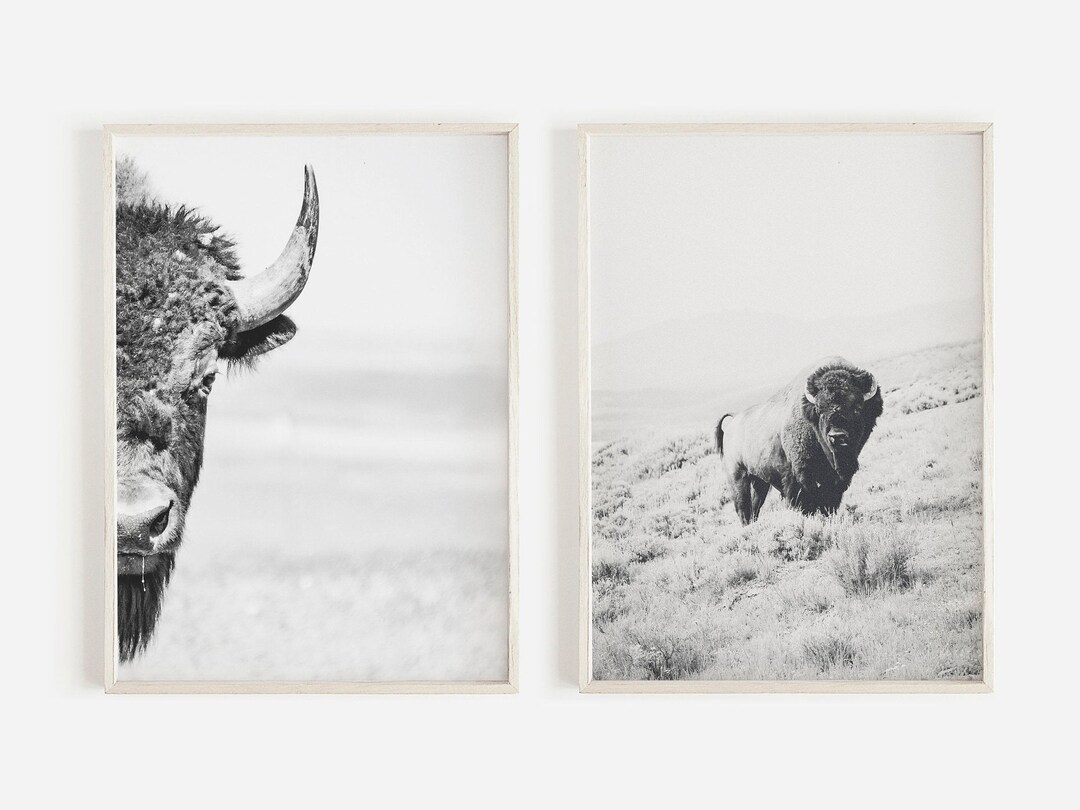 Set of 2 Prints Western Bison Poster Set Boho Gallery Set 2 Large ...