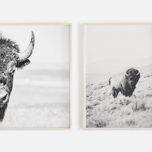 Boho Farmhouse Buffalo Print Bison Poster Southwestern - Etsy