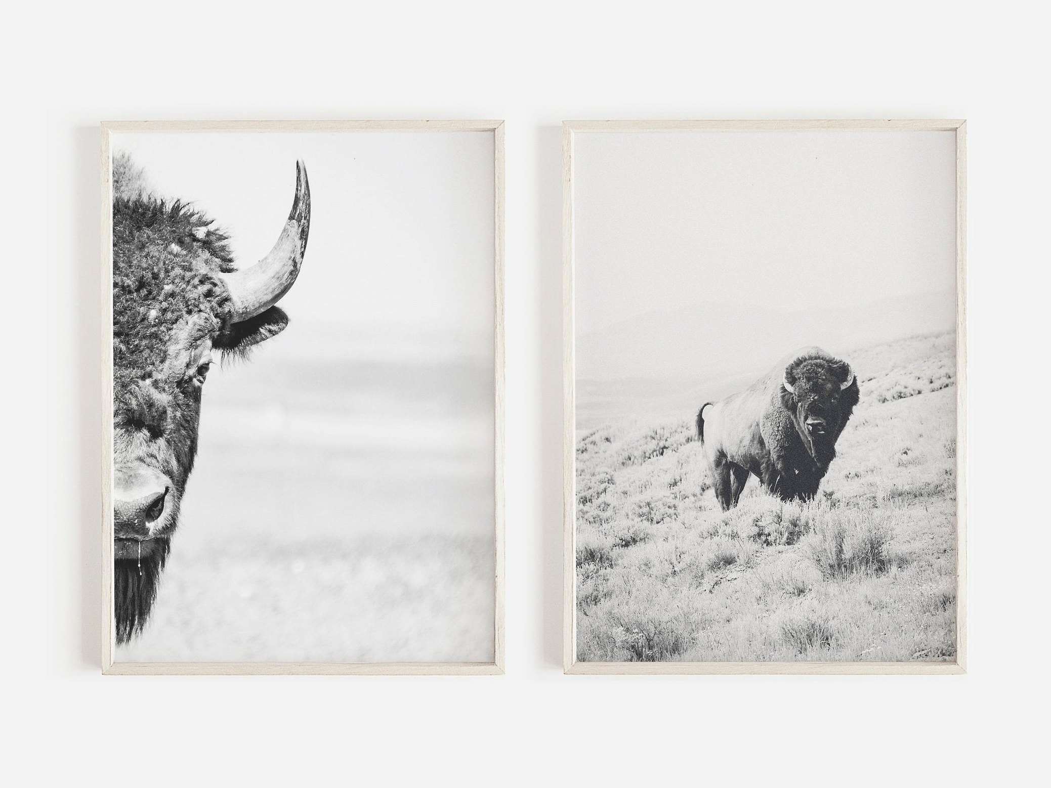 Set of 2 Prints Western Bison Poster Set Boho Gallery Set 2 - Etsy