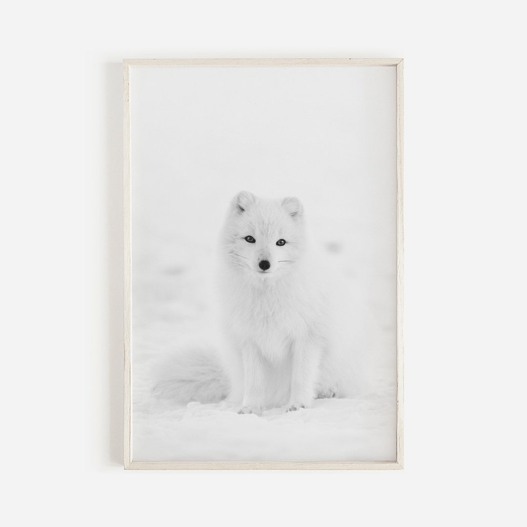 Fox Print White Fox Art Arctic Fox Animal Print White Animal Print ...