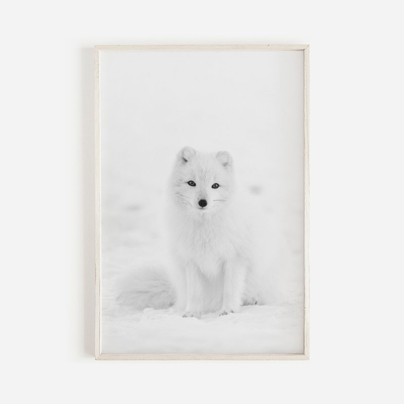 White Fox - Etsy