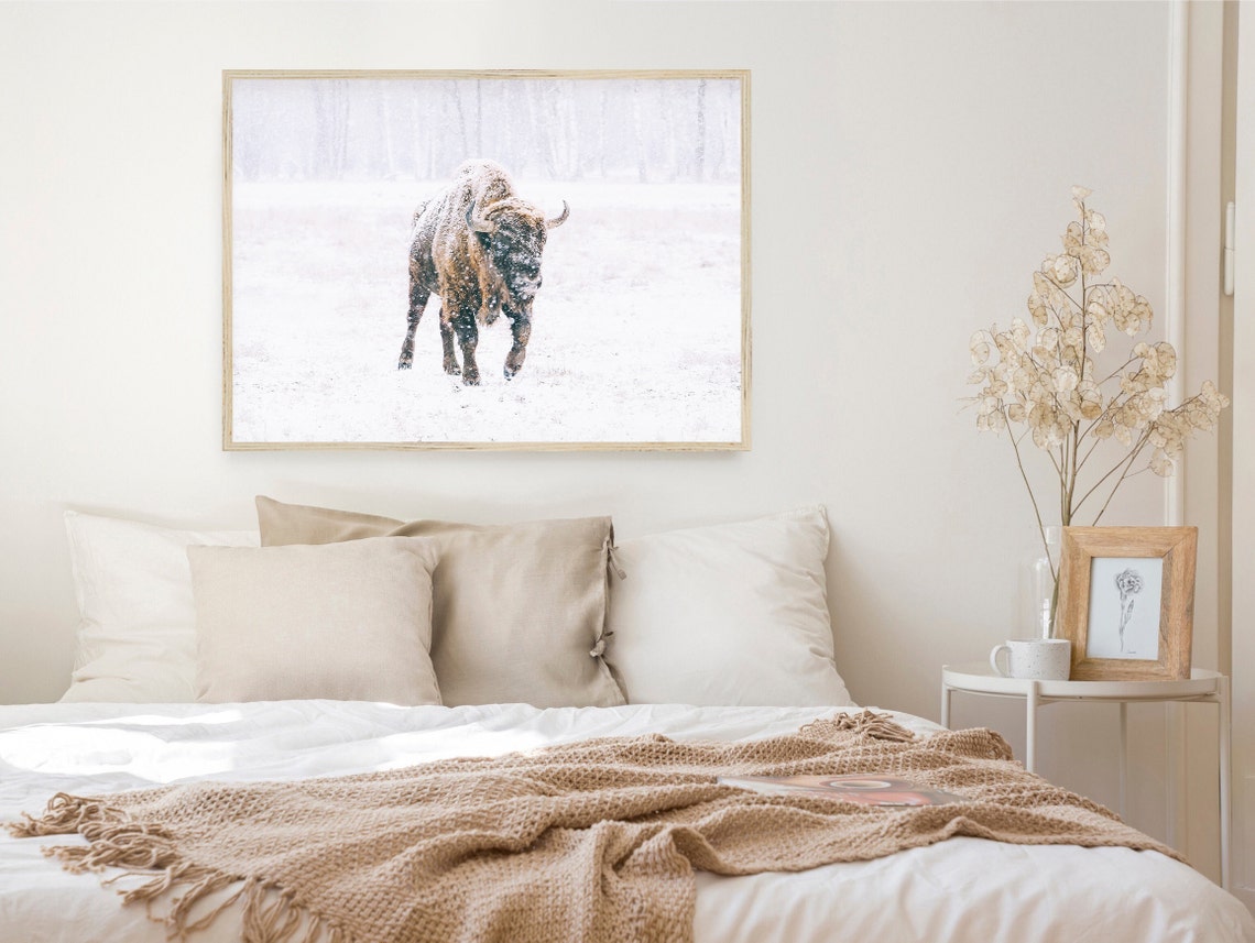Set of 3 Prints Western Bison Prints, Buffalo Art Print Set of 3, Set ...