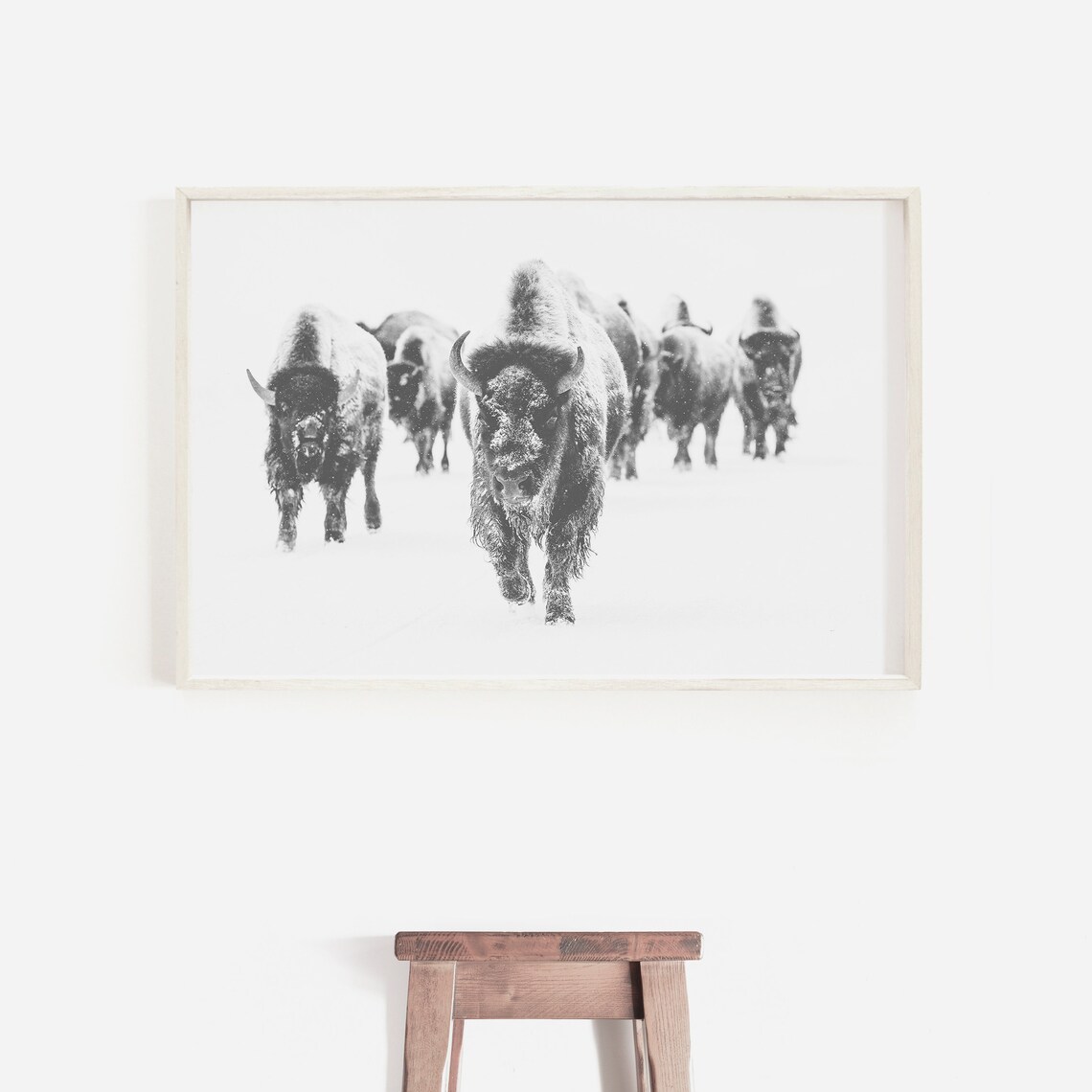 Bison Wall Art, Black White Bison Print, Buffalo Print, Black and White ...