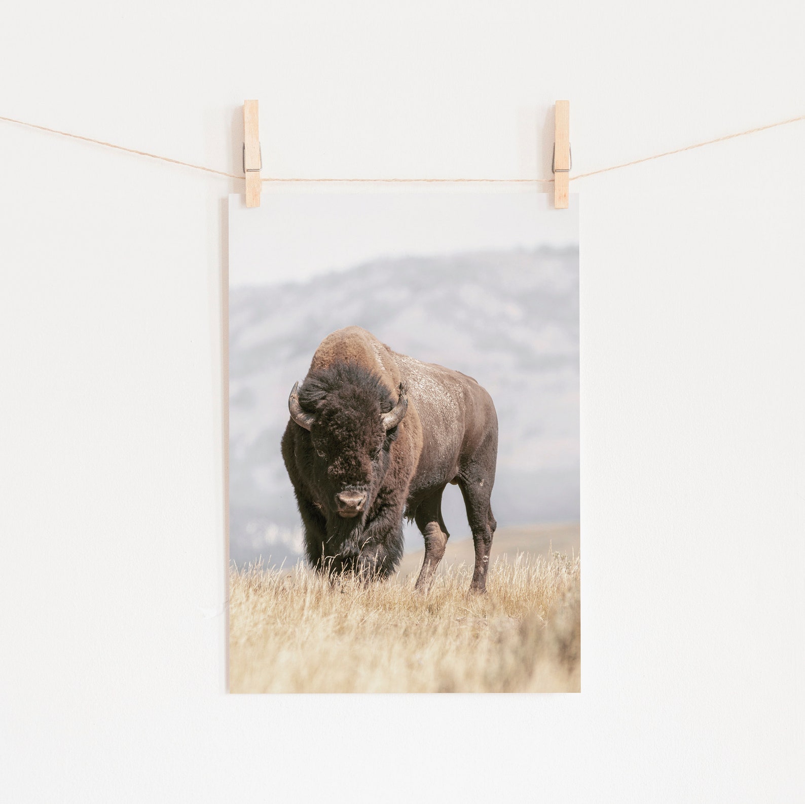 Printable Bison Wall Art, Buffalo Print, Western Prints, Bison Wall Art ...
